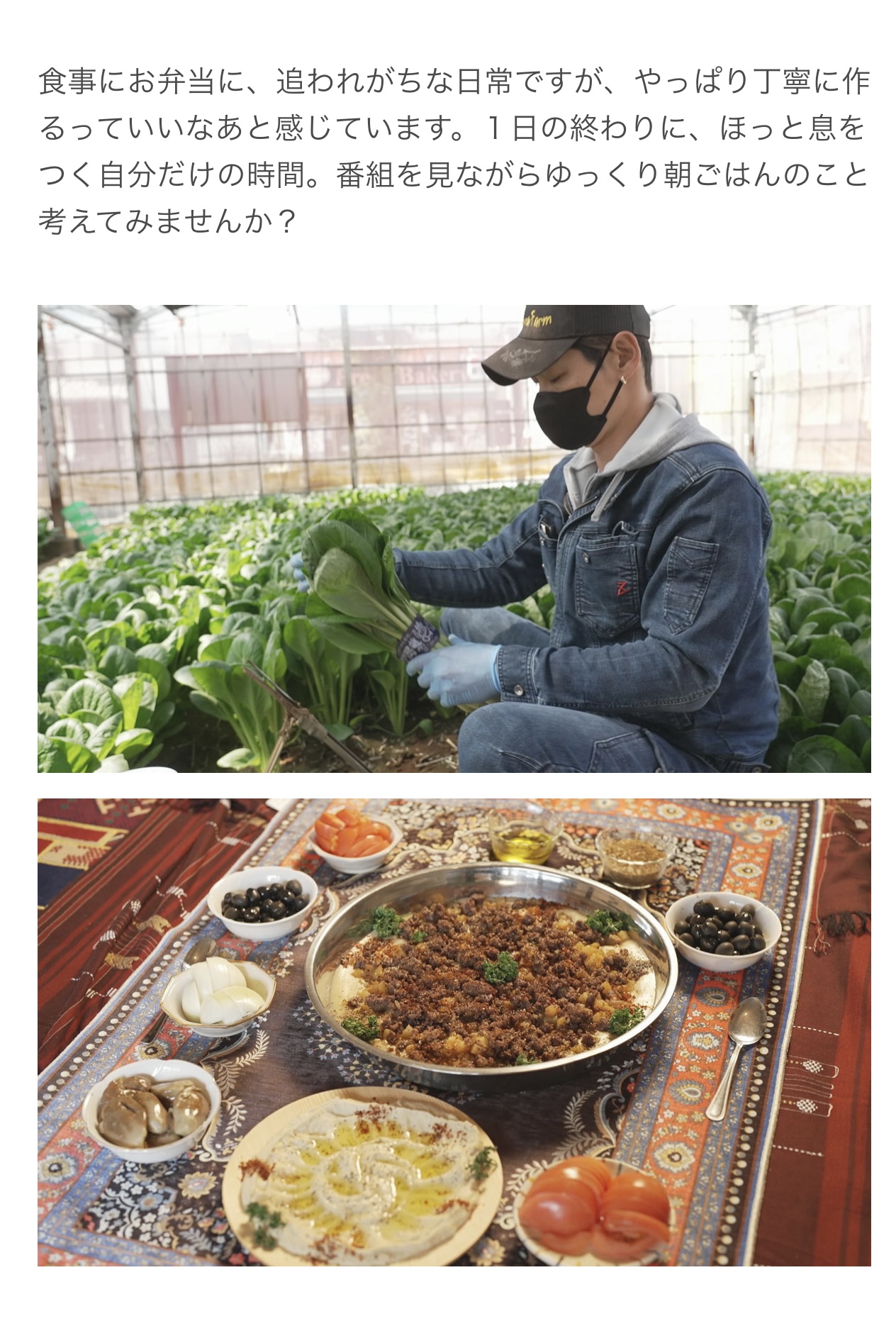 NHK番組「「朝ごはんLab.（ラボ）」に出演します - YUKA KOMATSU